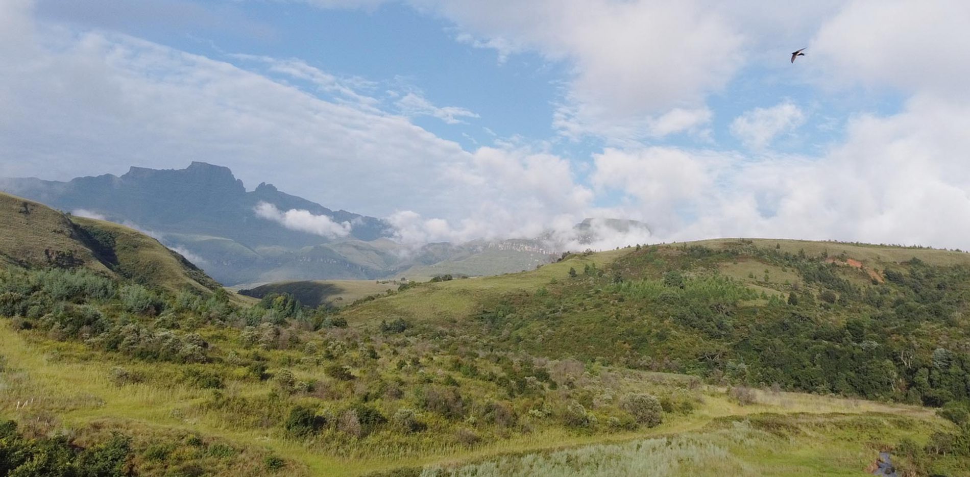 Our Gallery | 19 Mount Champagne