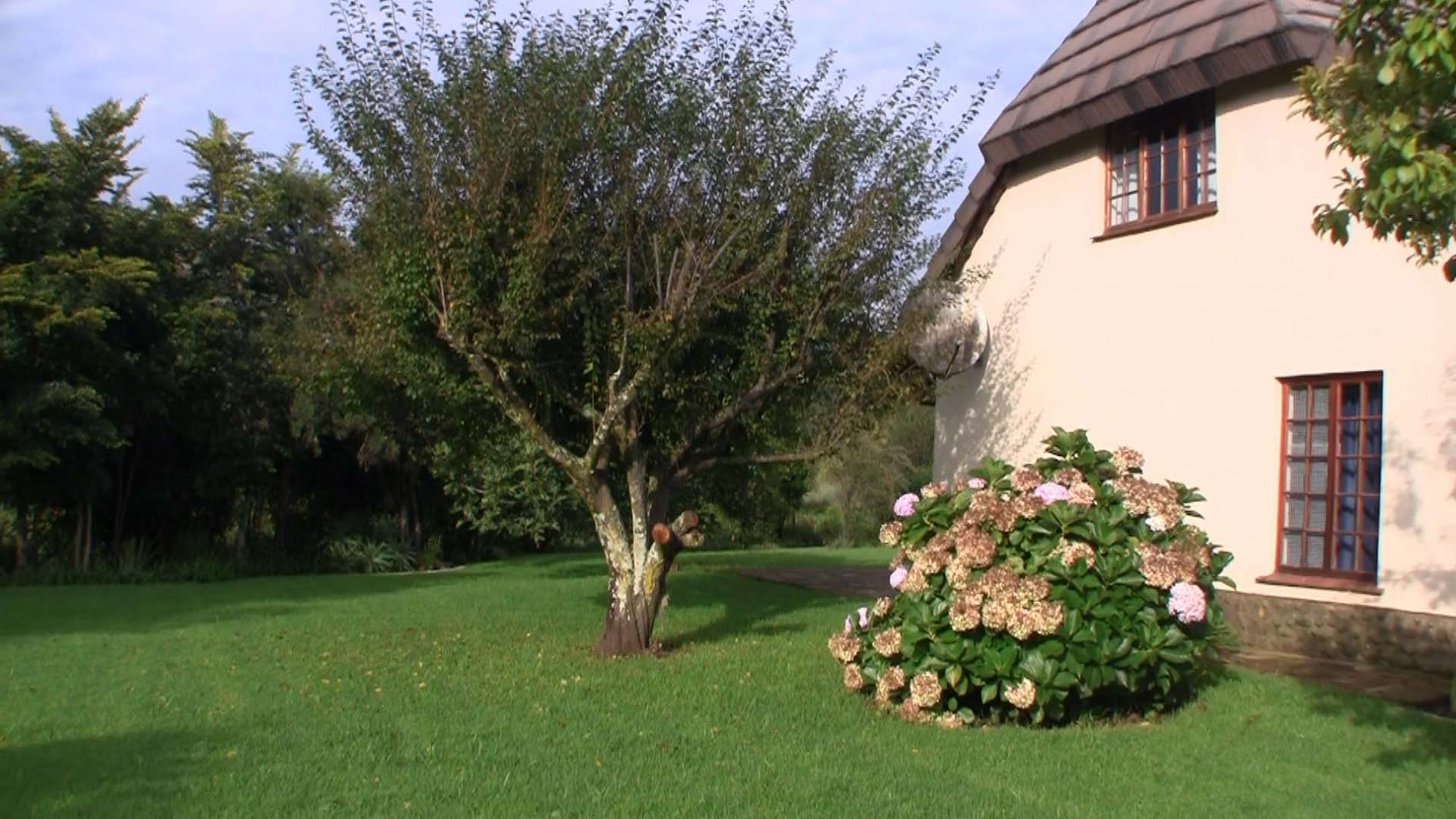 Our Gallery | Drakensberg self-catering accommodation - 19 Mount Champagne