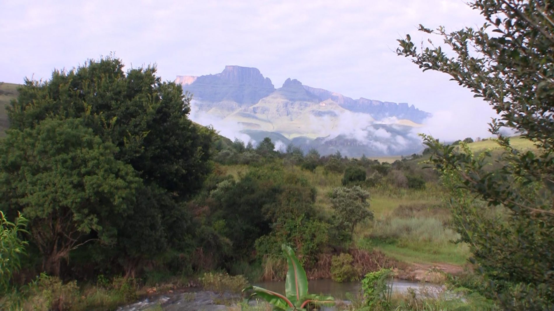 Our Gallery | Drakensberg self-catering accommodation - 19 Mount Champagne