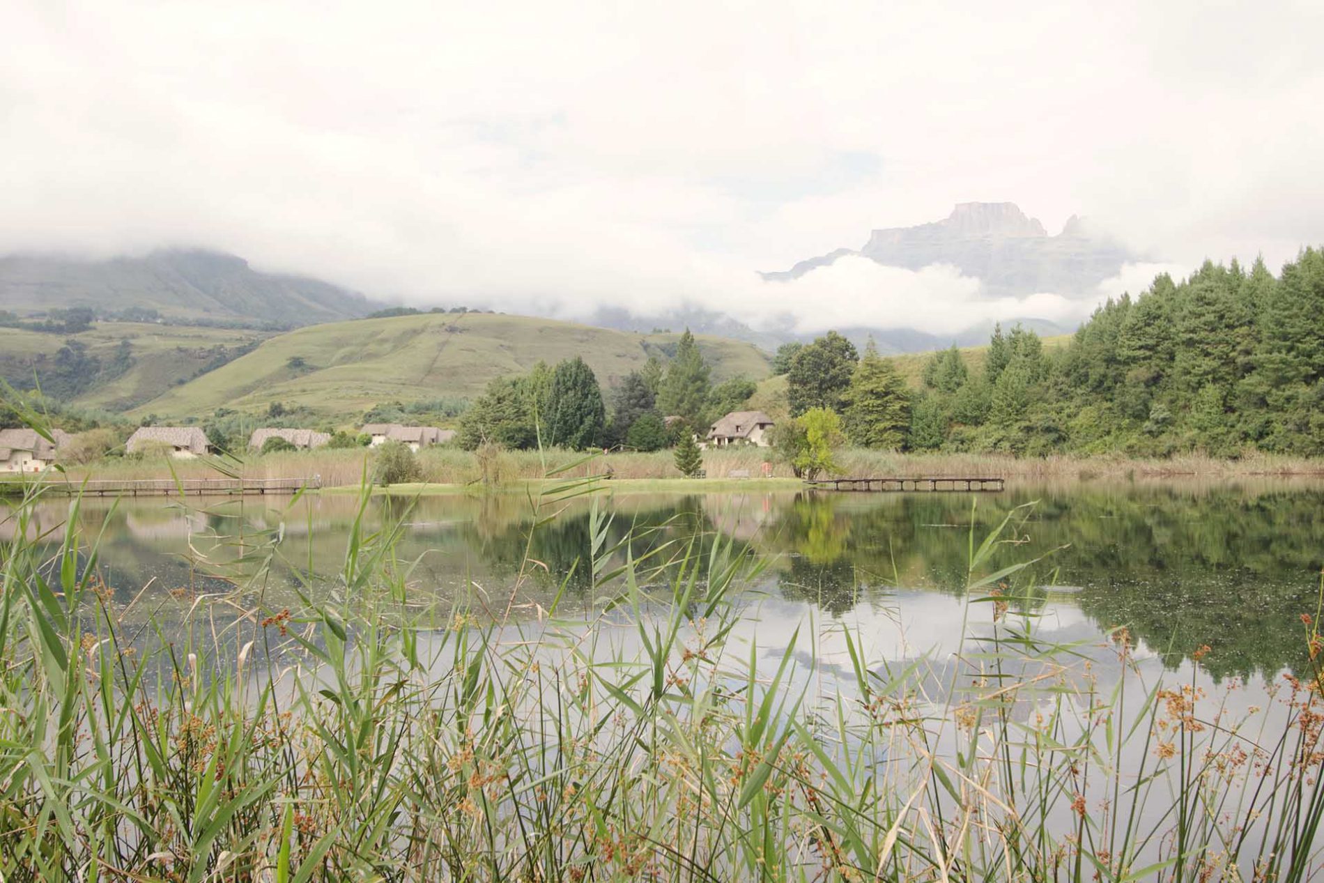 Our Gallery | Drakensberg self-catering accommodation - 19 Mount Champagne